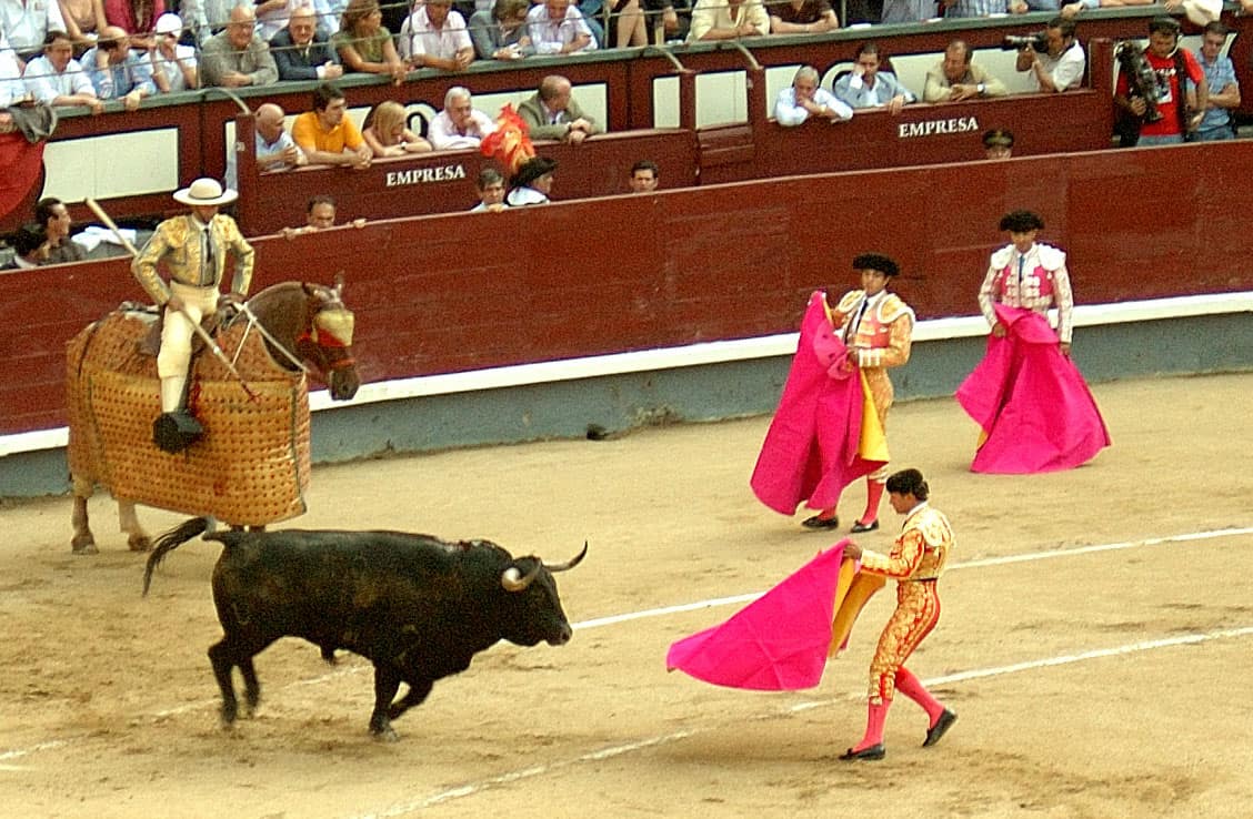 Où trouver Tauromachie Rocade - BlazeTrip